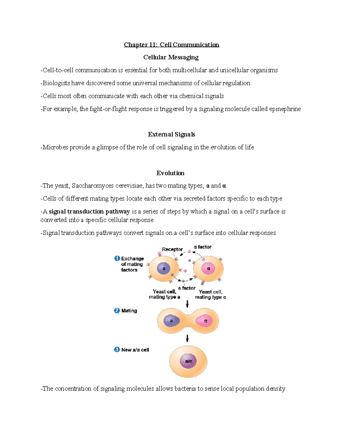 Chapter 11 Notes - unit 1 - Chapter 11: Cell Communication Cellular ...