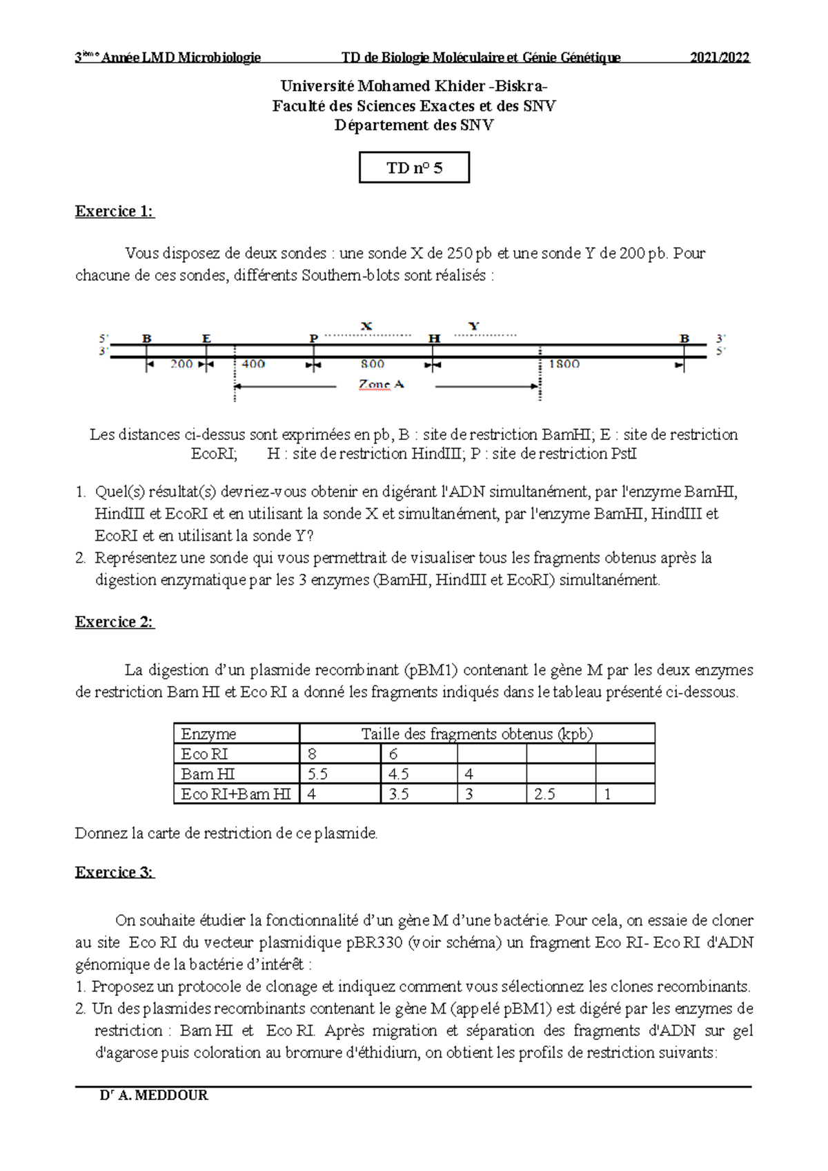 TD 5 BMGG - TD - 3 ième Année LMD Microbiologie TD de Biologie ...
