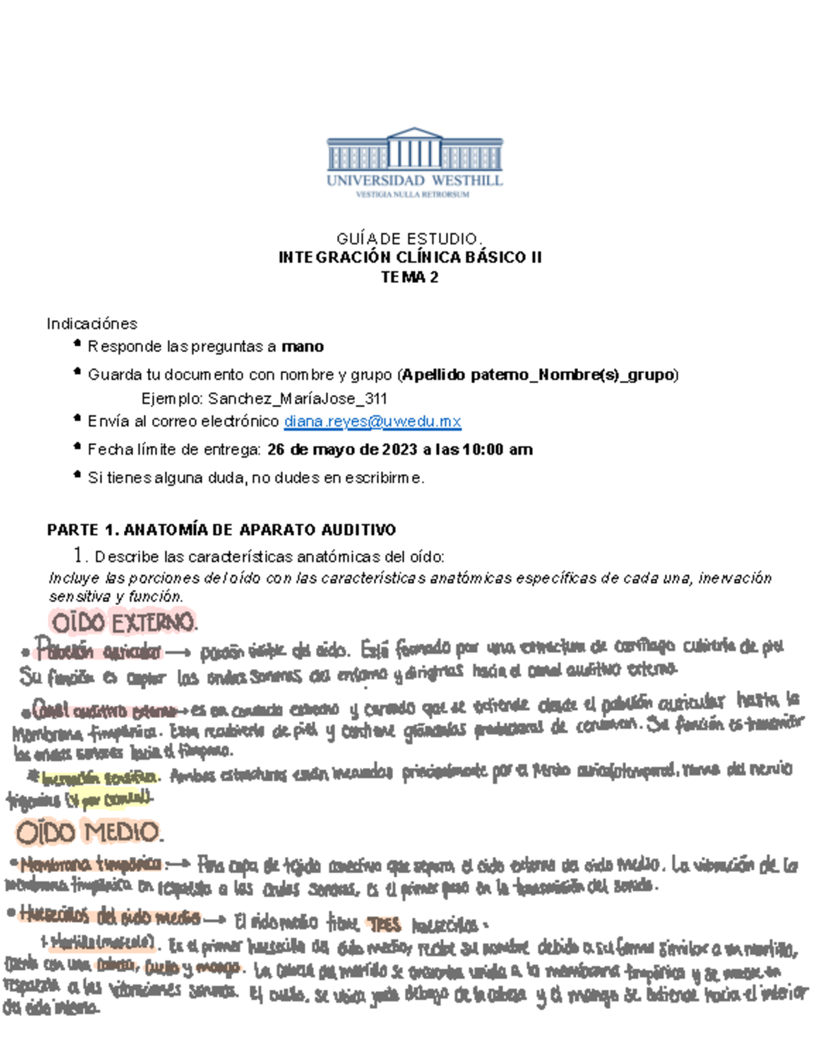 Guía IBC dani - GUÍA DE ESTUDIO. INTEGRACIÓN CLÍNICA BÁSICO II TEMA 2 ...