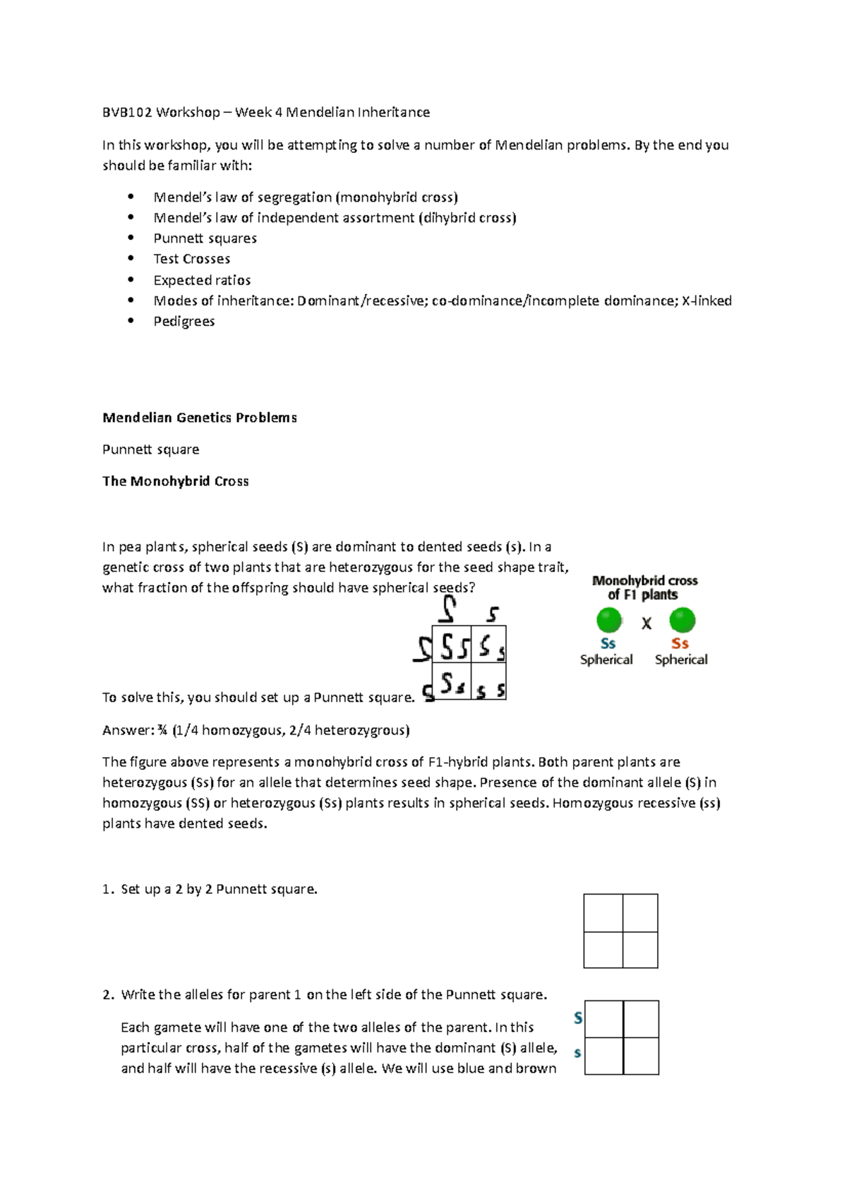 Mendelian Problems - worksheet from workshop - BVB102 Workshop – Week 4 ...