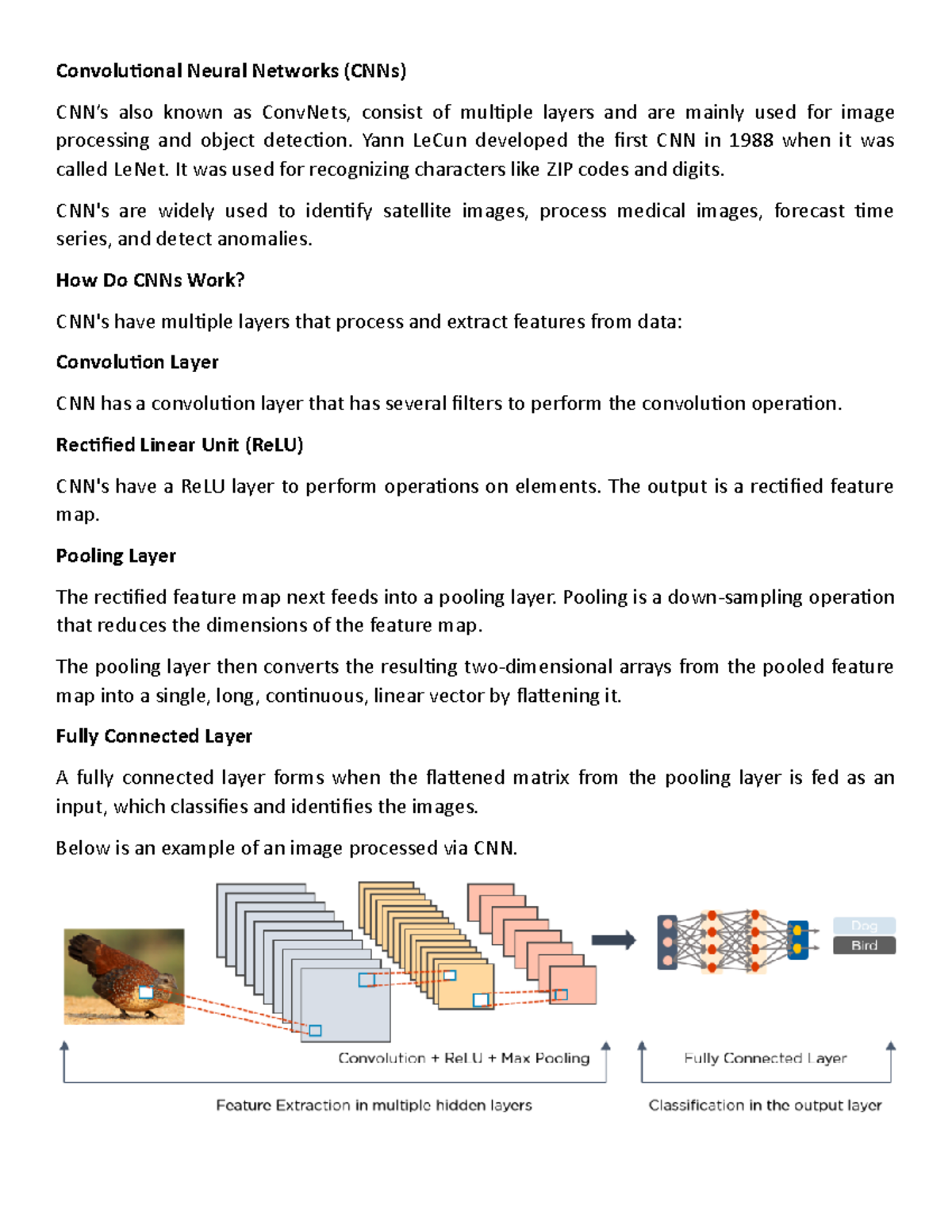 Convolutional Neural Networks - Yann LeCun developed the first CNN in ...