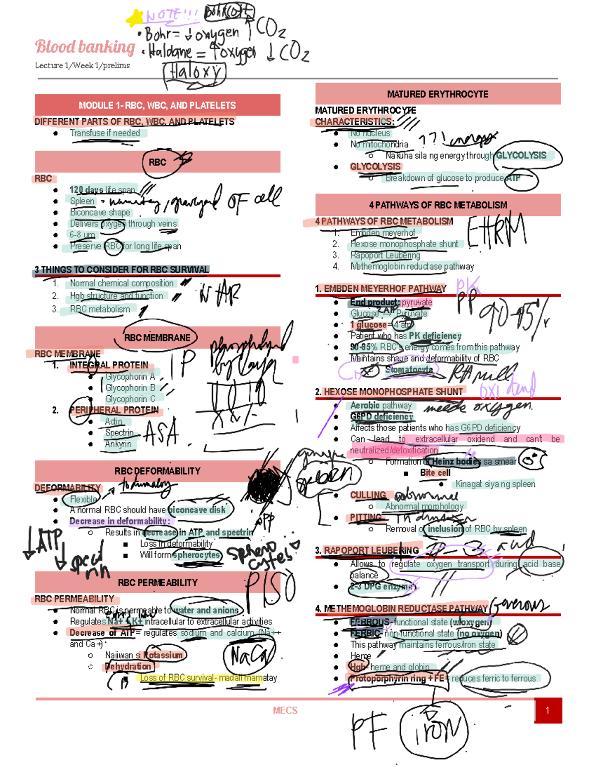 Blood Banking Prelims - Lecture 1/Week 1/prelims MODULE 1- RBC, WBC ...