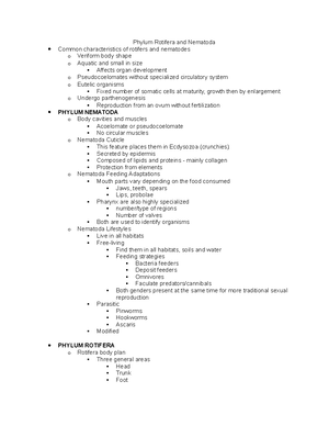 Phylum Porifera - Lecture notes 5 - Phylum Porifera o 8,000 species o ...