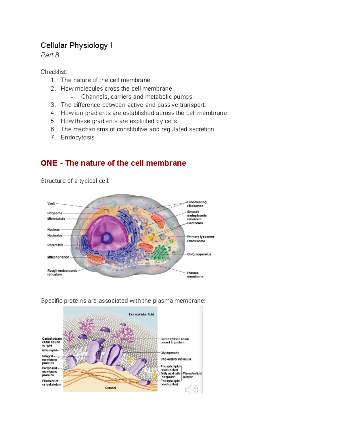 Cellular Physiology I Part B - Cellular Physiology I Part B Checklist ...