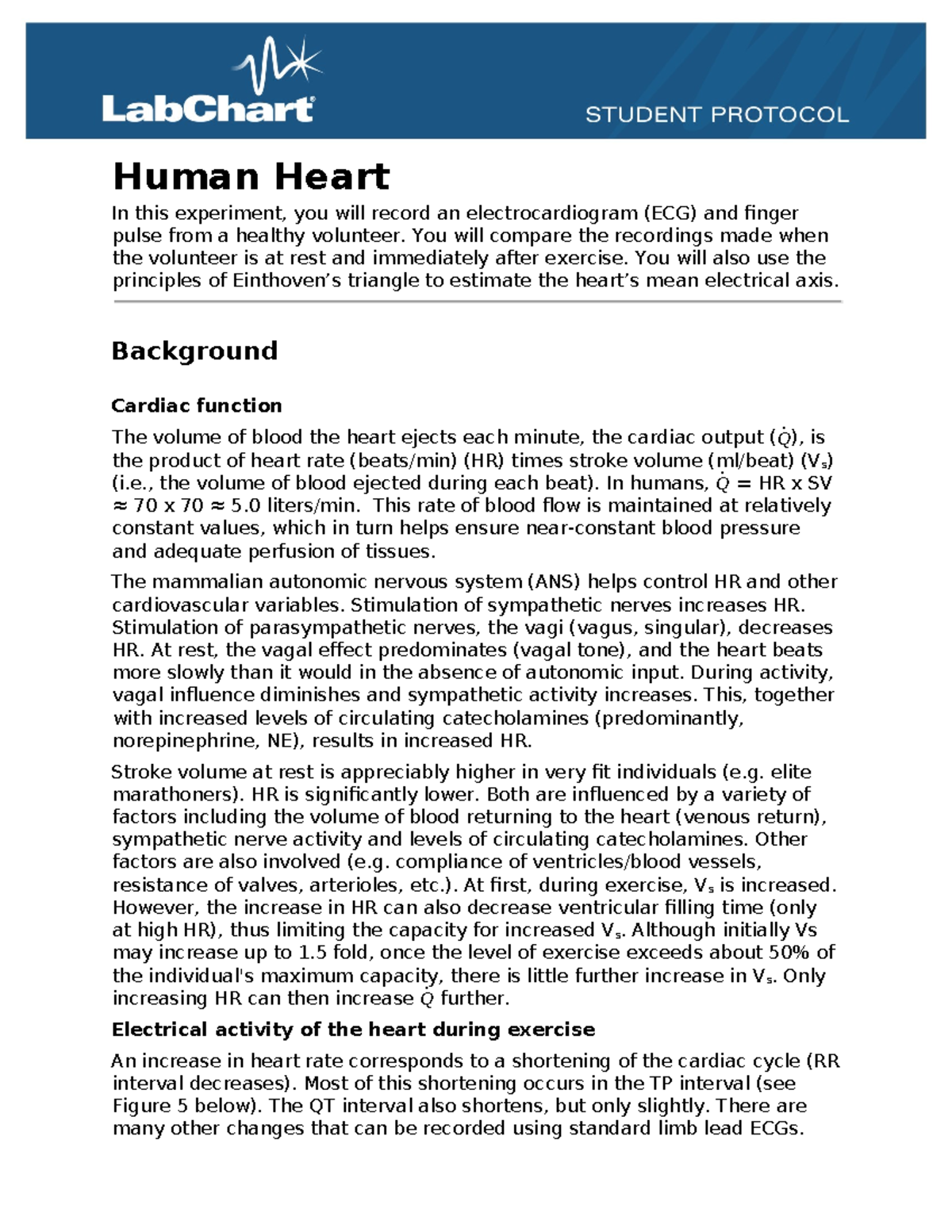 3 Human Heart Background and Lab Chart Protocol S2024 - In this ...