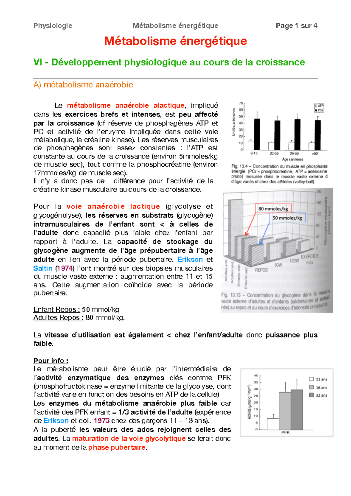 5 - Métabolisme énergétique - Métabolisme énergétique VI - Développement physiologique au cours ...