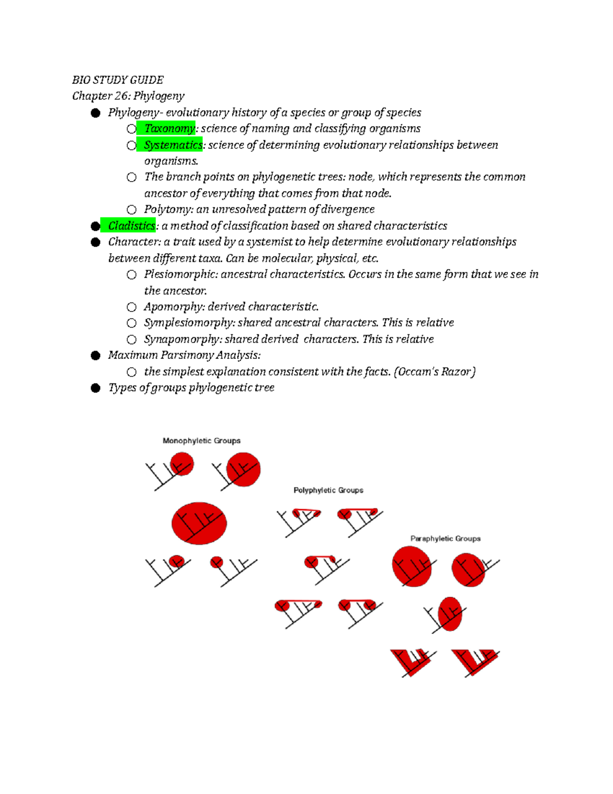 Biology Study Guide: Phylogeny Bacteria Archaea Protists - Studocu