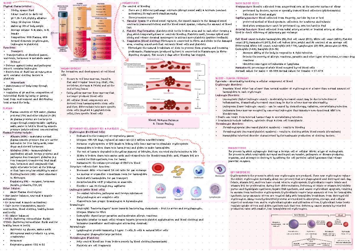 HUBS1406 3 - Blood, Immune Defence & Tissue Healing BLOOD Physical ...