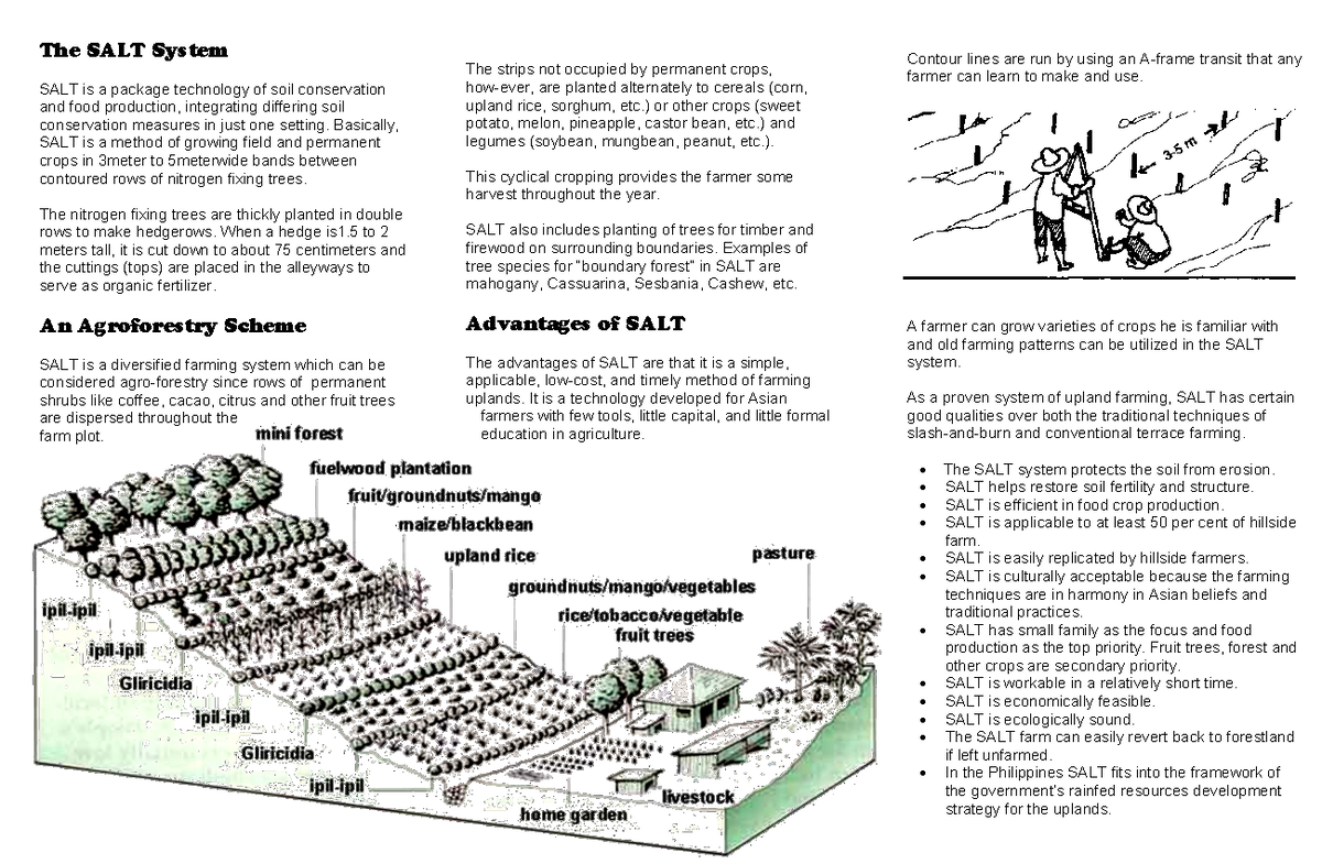 The salt system leaflet - The SALT System SALT is a package technology ...