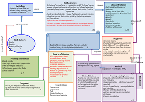 Concept map UTA - Student Name: Mia Bohn Diagnosis Priority) (List one ...