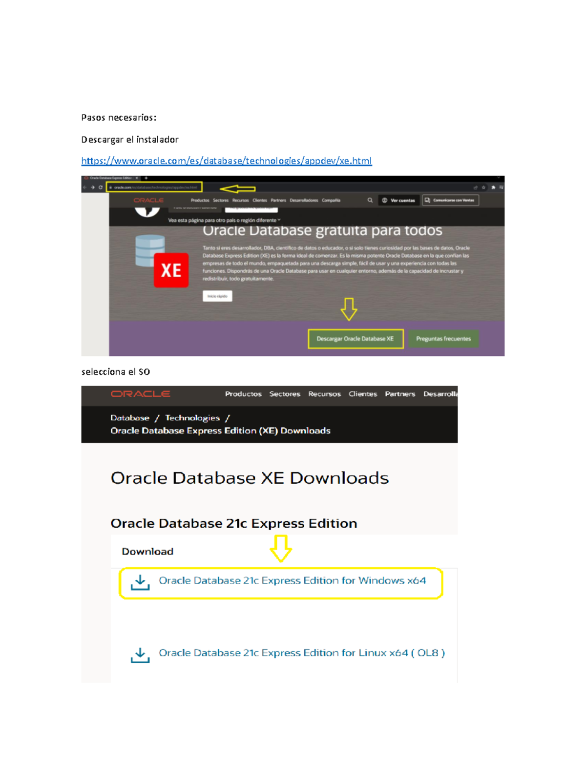 Manual Oracle - Pasos necesarios: Descargar el instalador - Studocu