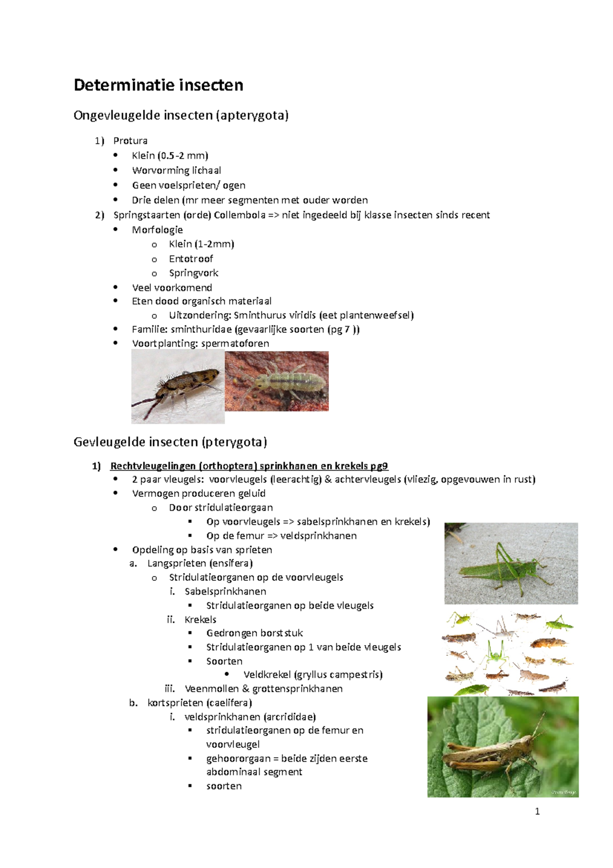 Determinatie insecten - Determinatie insecten Ongevleugelde insecten ...