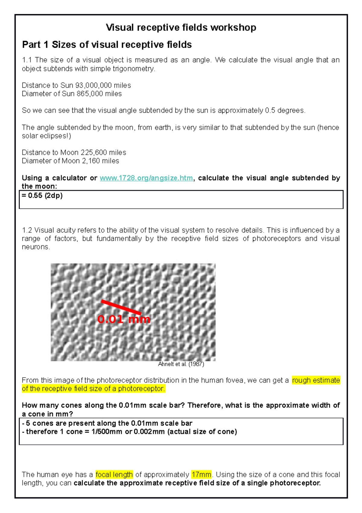 Receptive Fields Worksheet 2022 1 Visual Receptive Fields Workshop