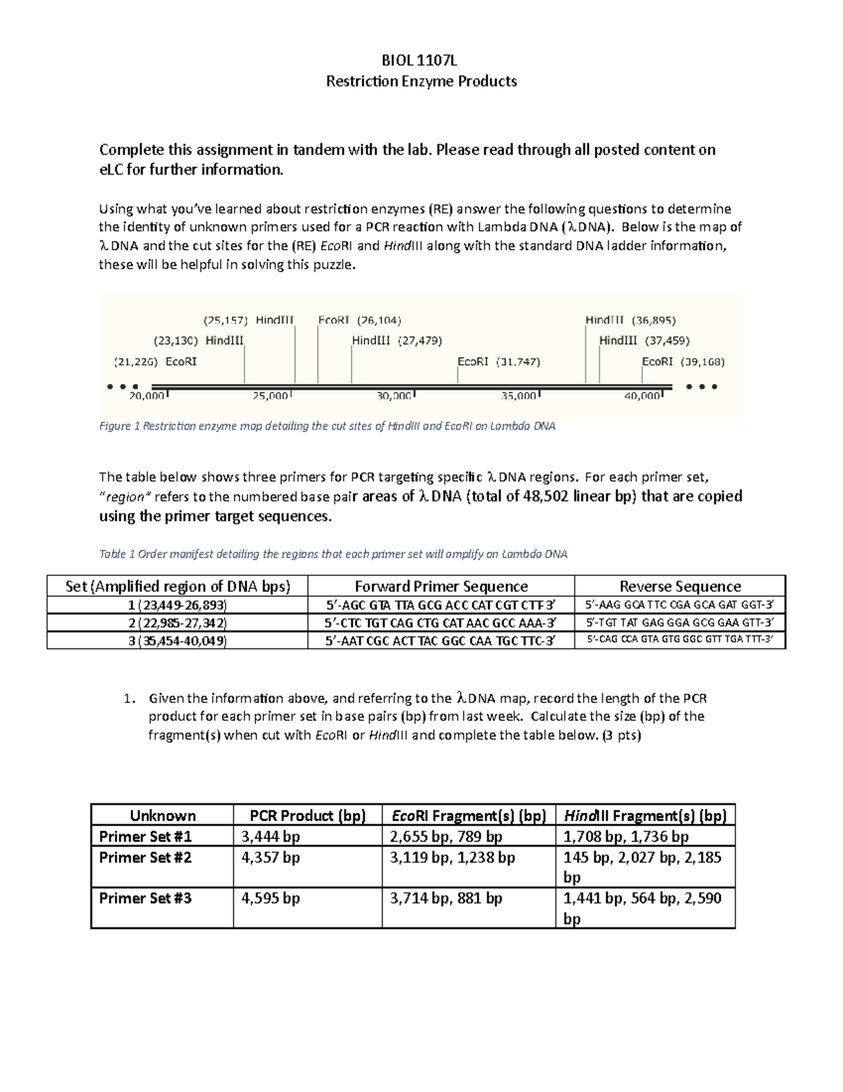 1107L Restriction enzymes - BIOL 1107L Restriction Enzyme Products ...
