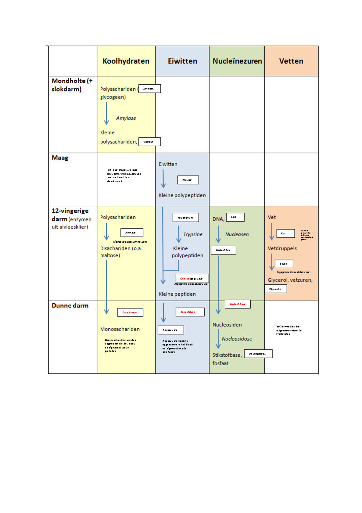 Schema vertering VWO 6 - Afgegeven door alvleesklier Afgegeven door ...