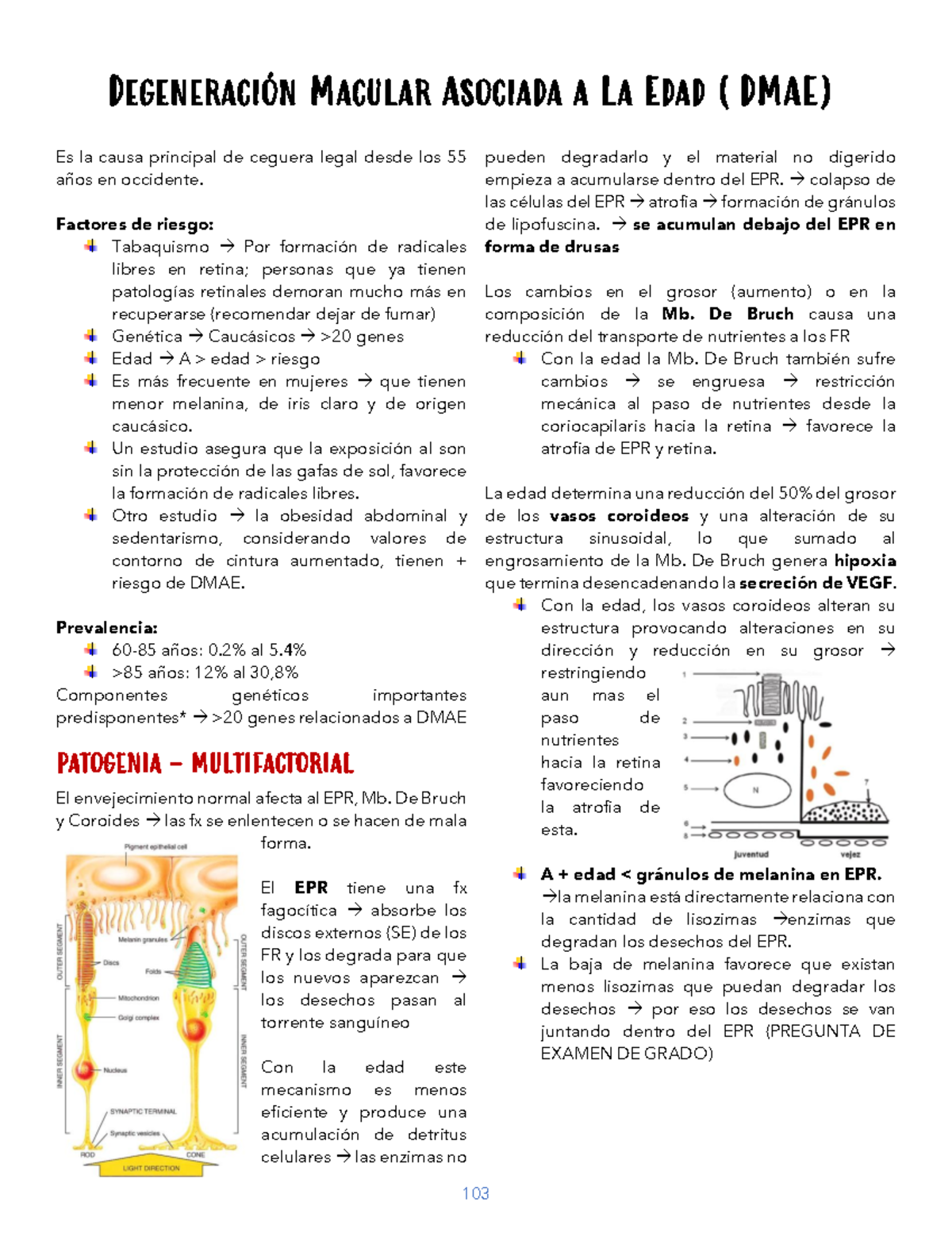 12. DMAE: Degeneración Macular Asociada a la Edad. - Es la causa ...