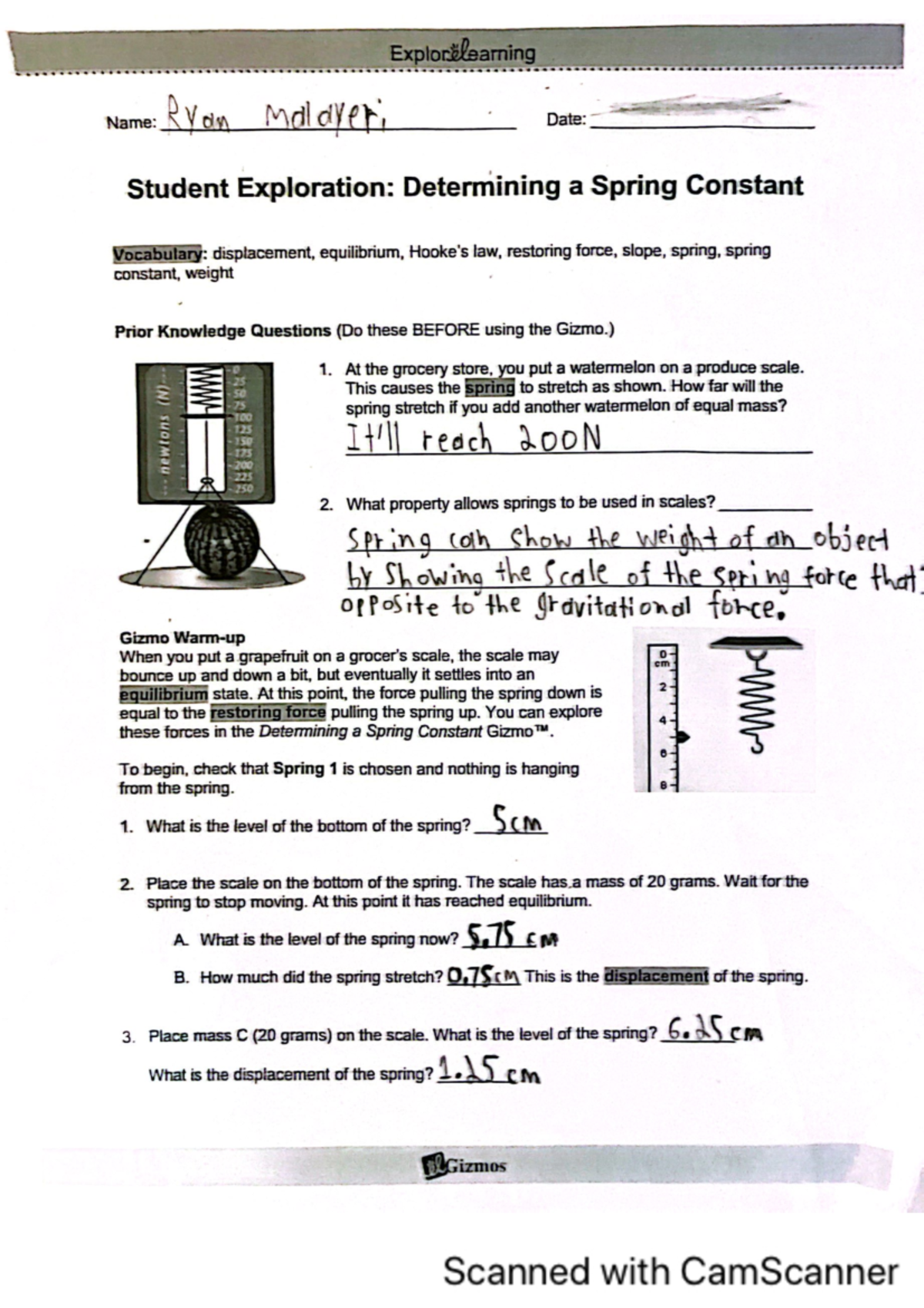 Student Exploration Determining The Spring Constant(Ryan Malayeri ...