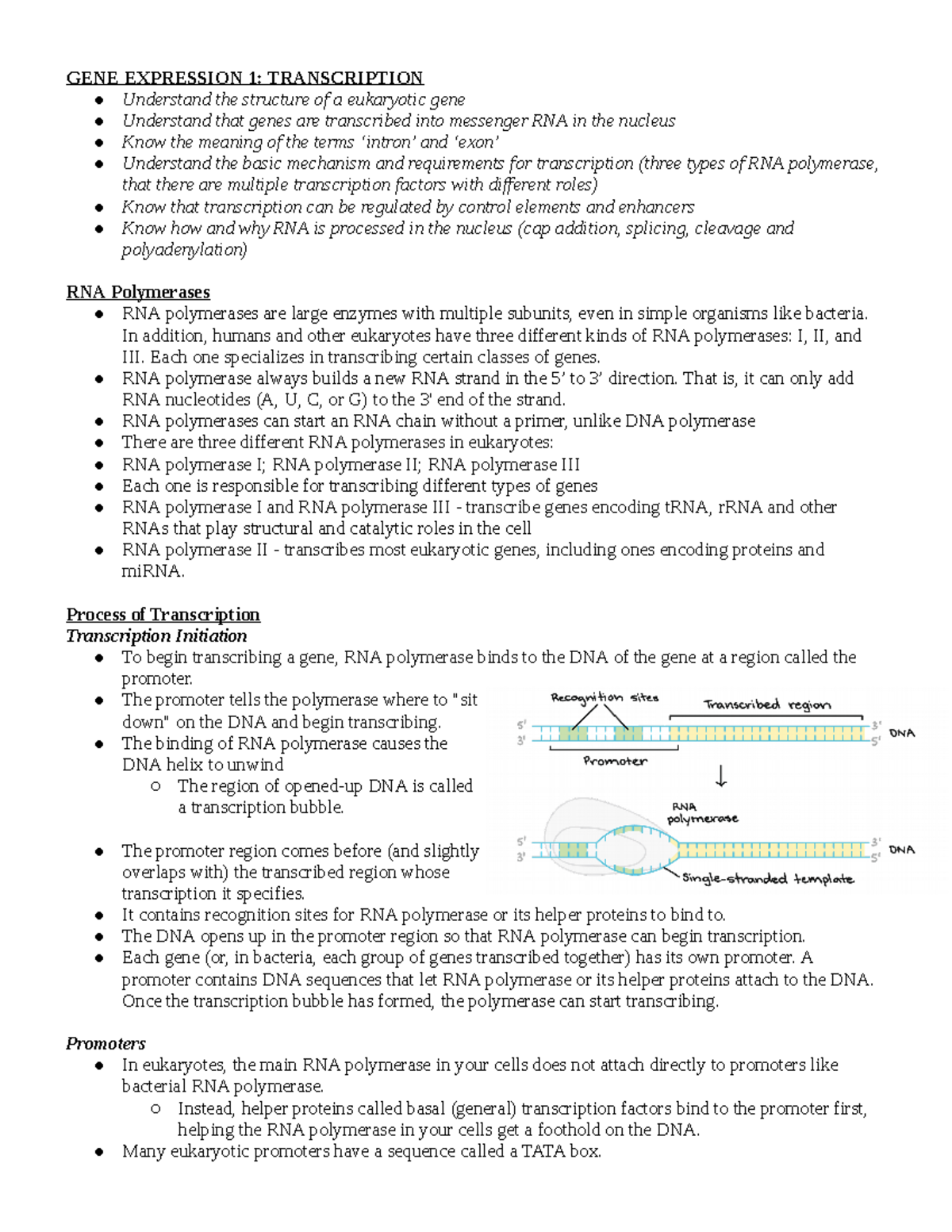 GENE Expression 1 Transcription - GENE EXPRESSION 1: TRANSCRIPTION ...