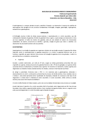 Resumo Diferenciação sómitos - Diferenciação dos sómitos em esclerótomo ...