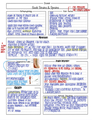 Cefazolin ATI Med template - ACTIVE LEARNING TEMPLATES THERAPEUTIC ...
