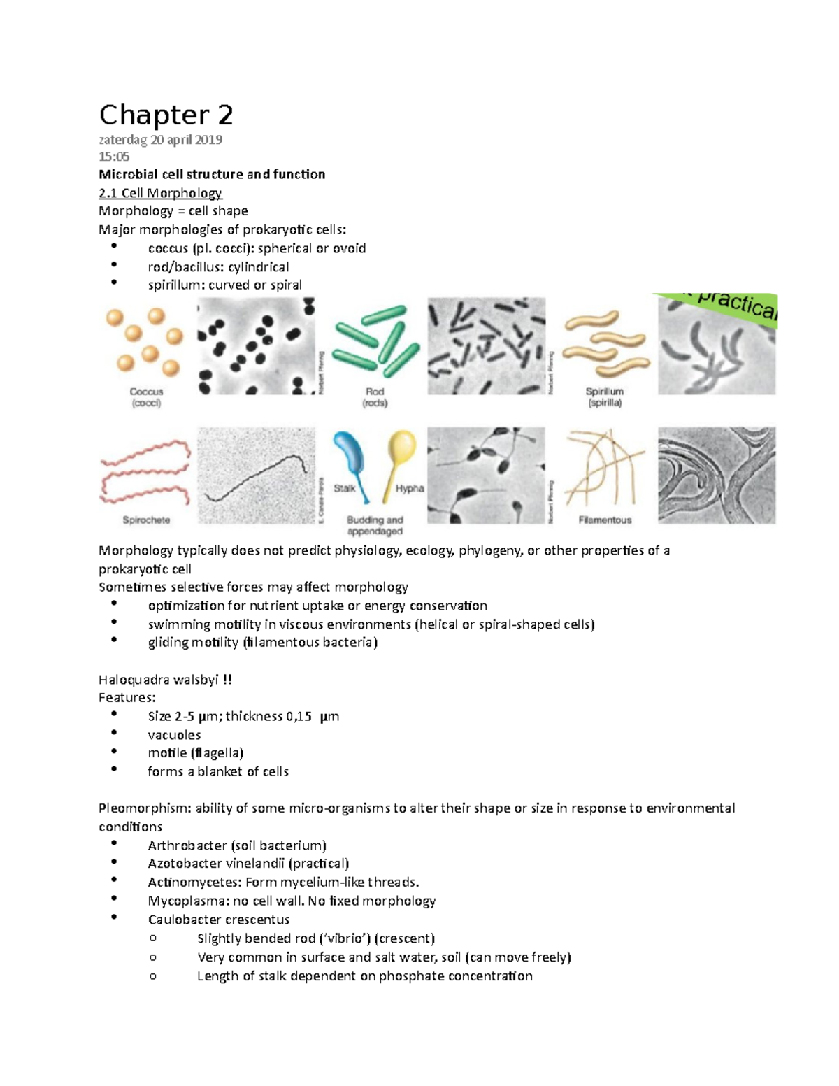 MIB Chapter 2 - Lecture notes - Chapter 2 zaterdag 20 april 2019 15 ...