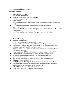 My example narrative essay - Writer 1 Ima Writer Professor Holtsberry ...