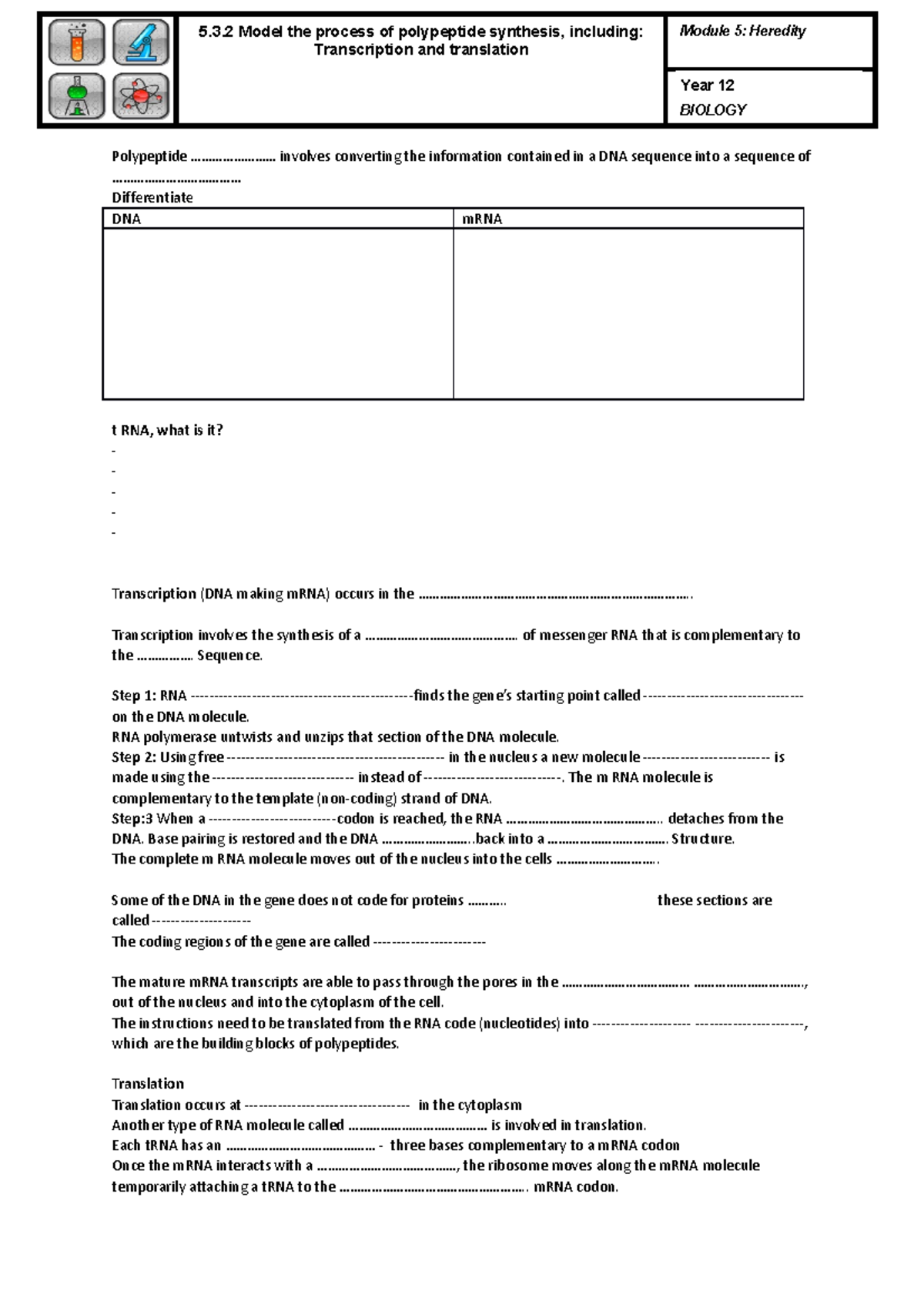 Protein Syntrhesis year 12 - Polypeptide ...