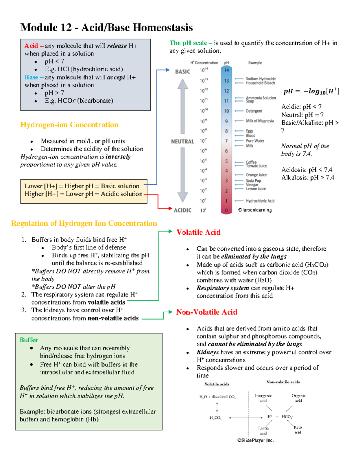 Mo12 web - notes for the course they are decent to read - Module 12 ...