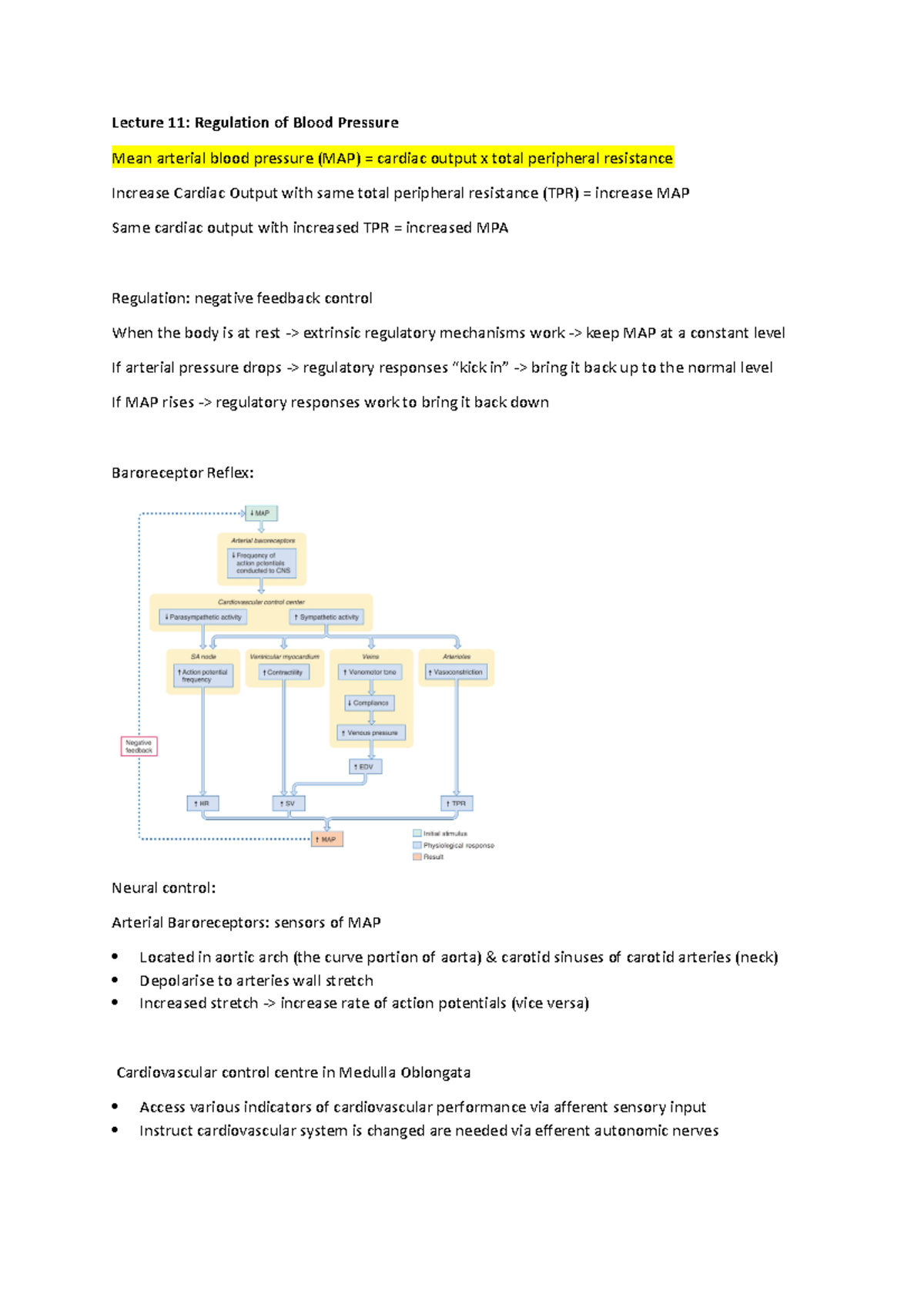 Lecture 11 - .............. - Lecture 11: Regulation of Blood Pressure ...