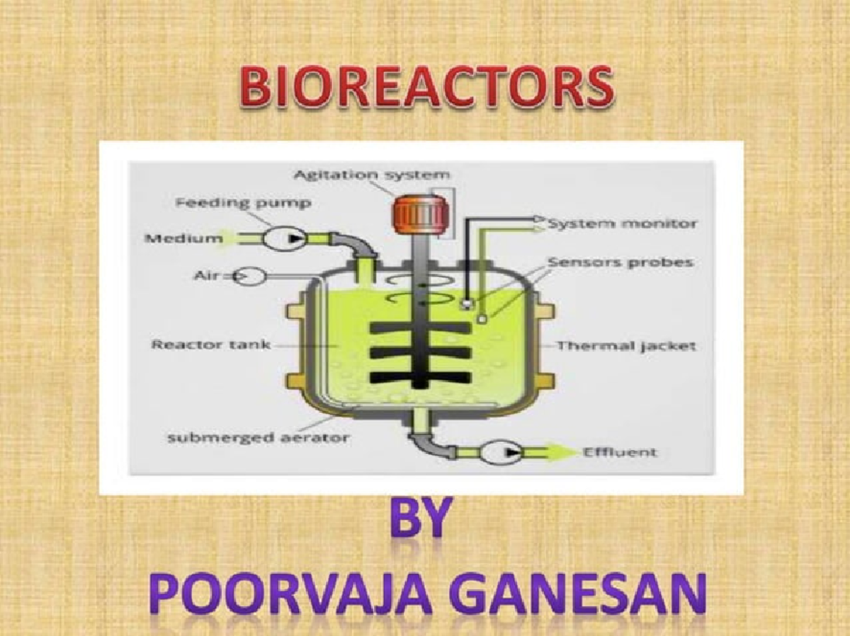 Bioreactors - This will help students - Btech - Studocu