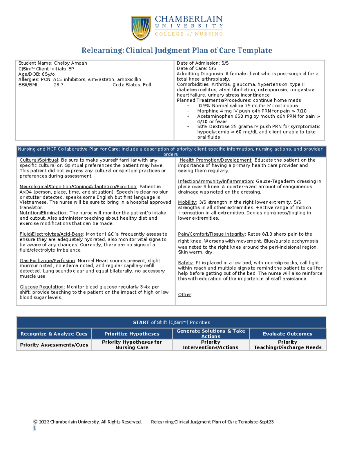 Care Plan for BP - Student Name: Chelby Amoah CJSim™ Client Initials ...