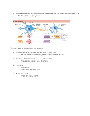 Biology - Grade: 12 - High School - Canada - Studocu