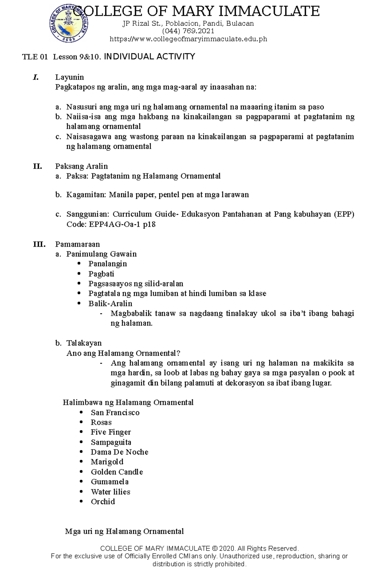 Lesson PLAN- Filipino Format- Individual Activity - COLLEGE OF MARY ...