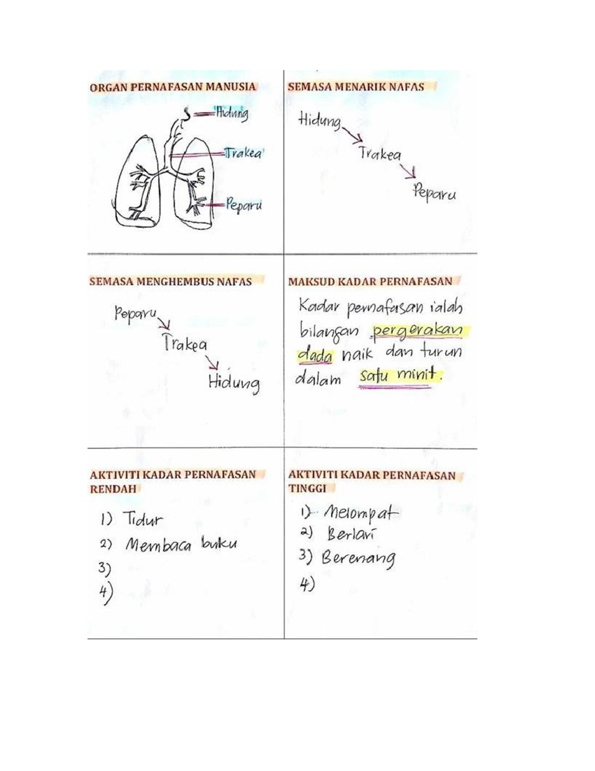 Nota Ringkas Sains 1 - DEFINITION SCIENCE - ORGAN PERNAFASAN MANUSIA ...