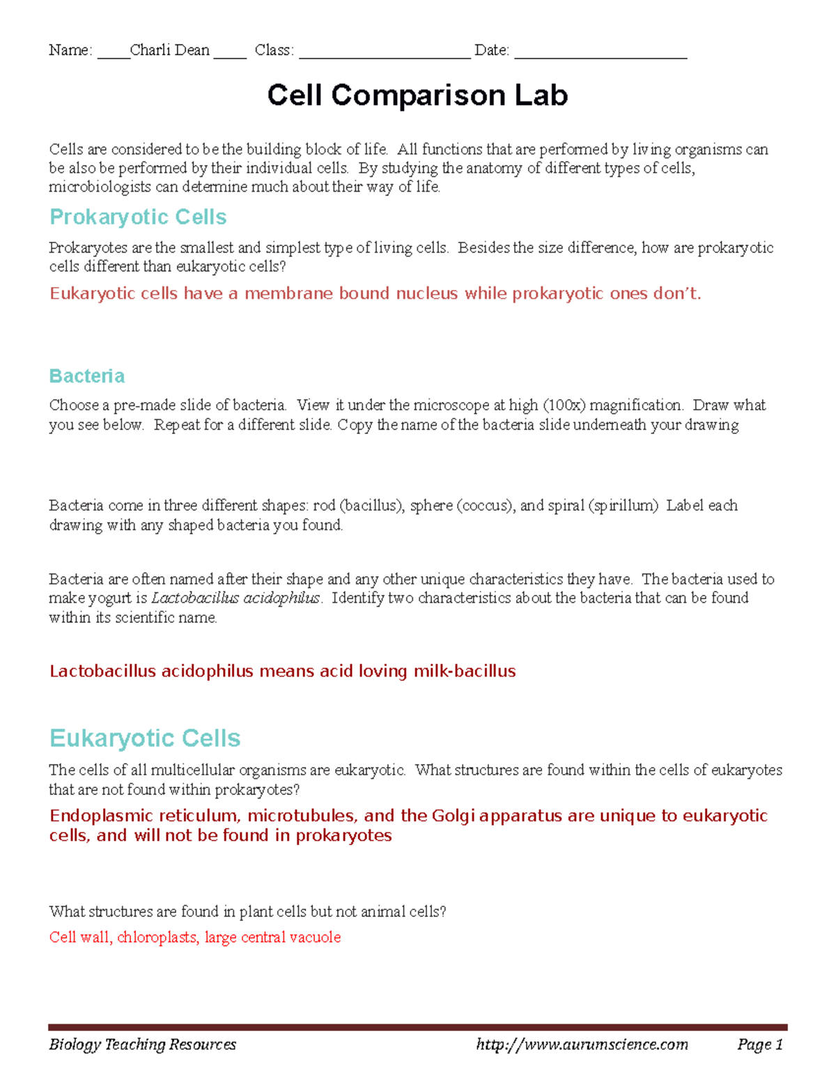 Cell Comparison Lab - Lab to compare cells. Interactive, should be ...