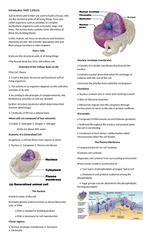 Anophy LAB - anatomy and physiology notes - The Language of Anatomy ...