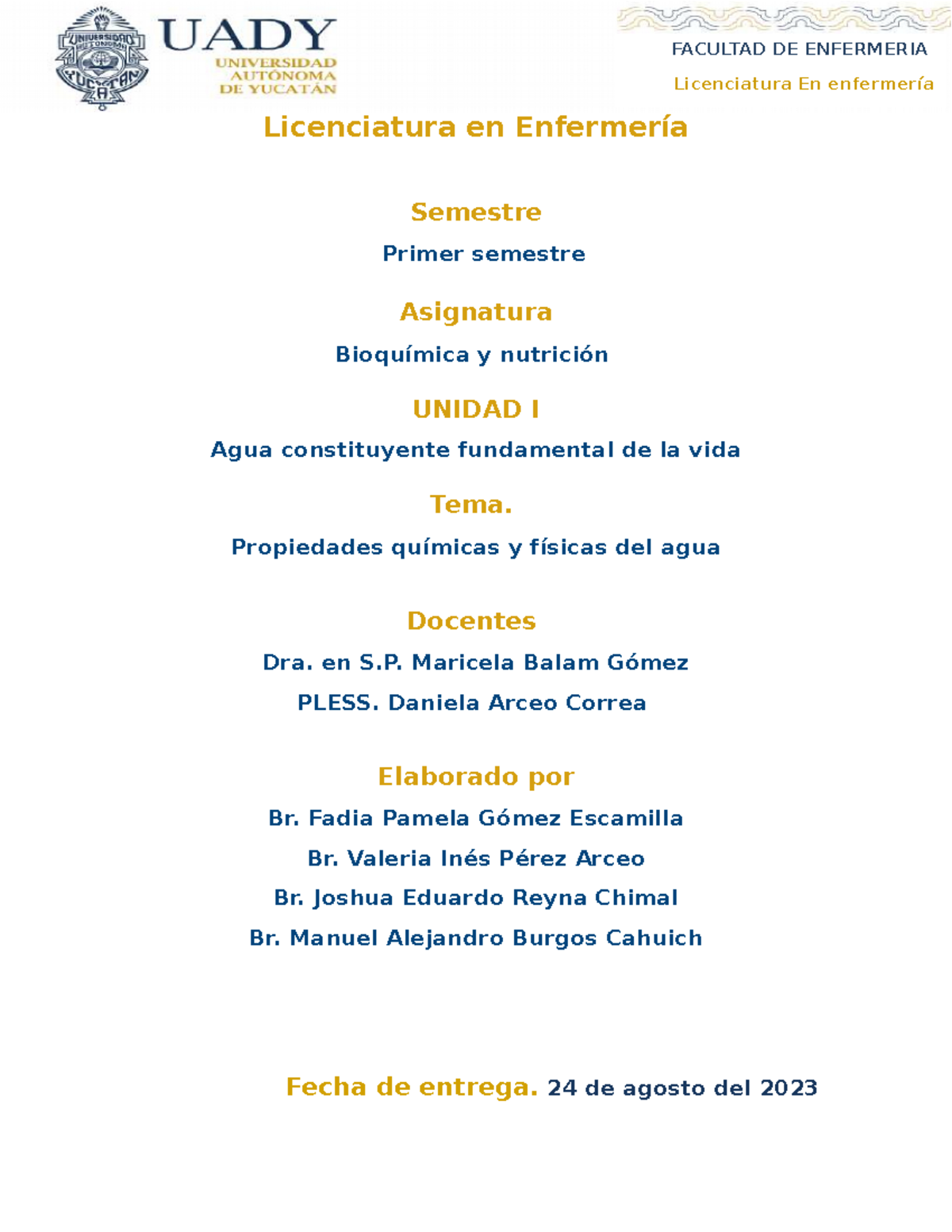 Uady Enfermeria Logo