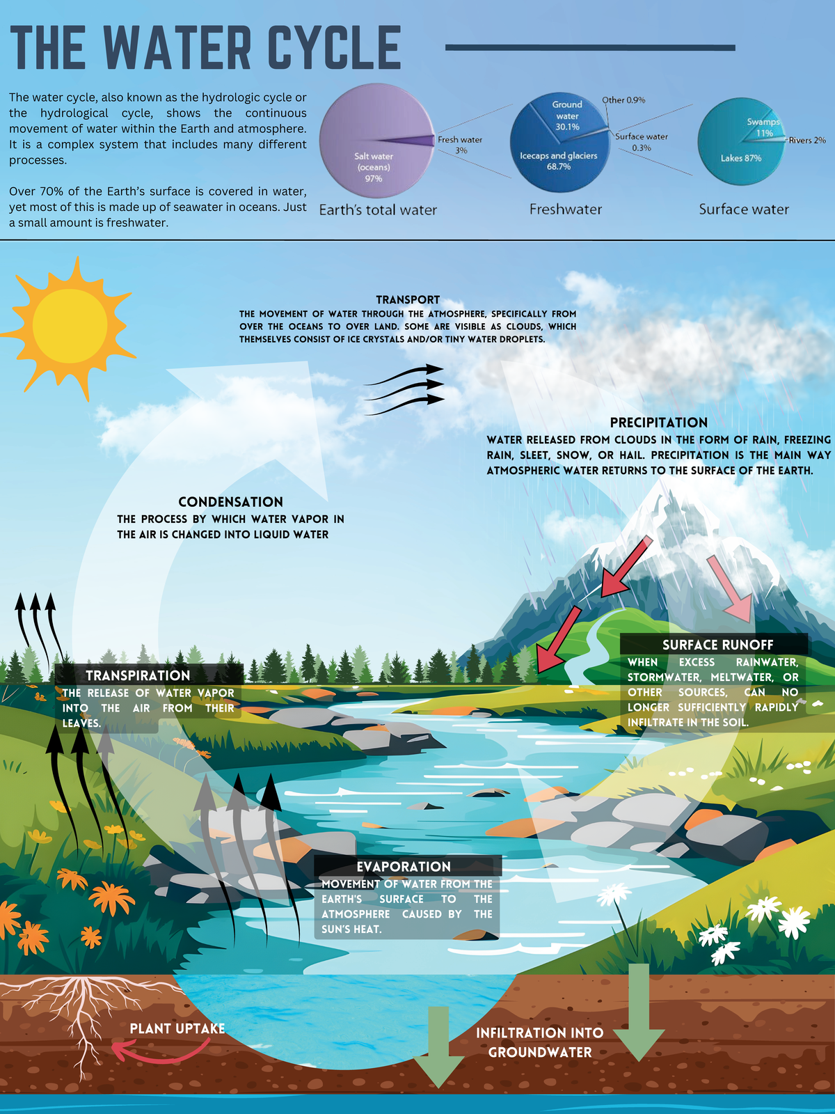 THE Water Cycle 1 - surface runoff when excess rainwater, stormwater ...