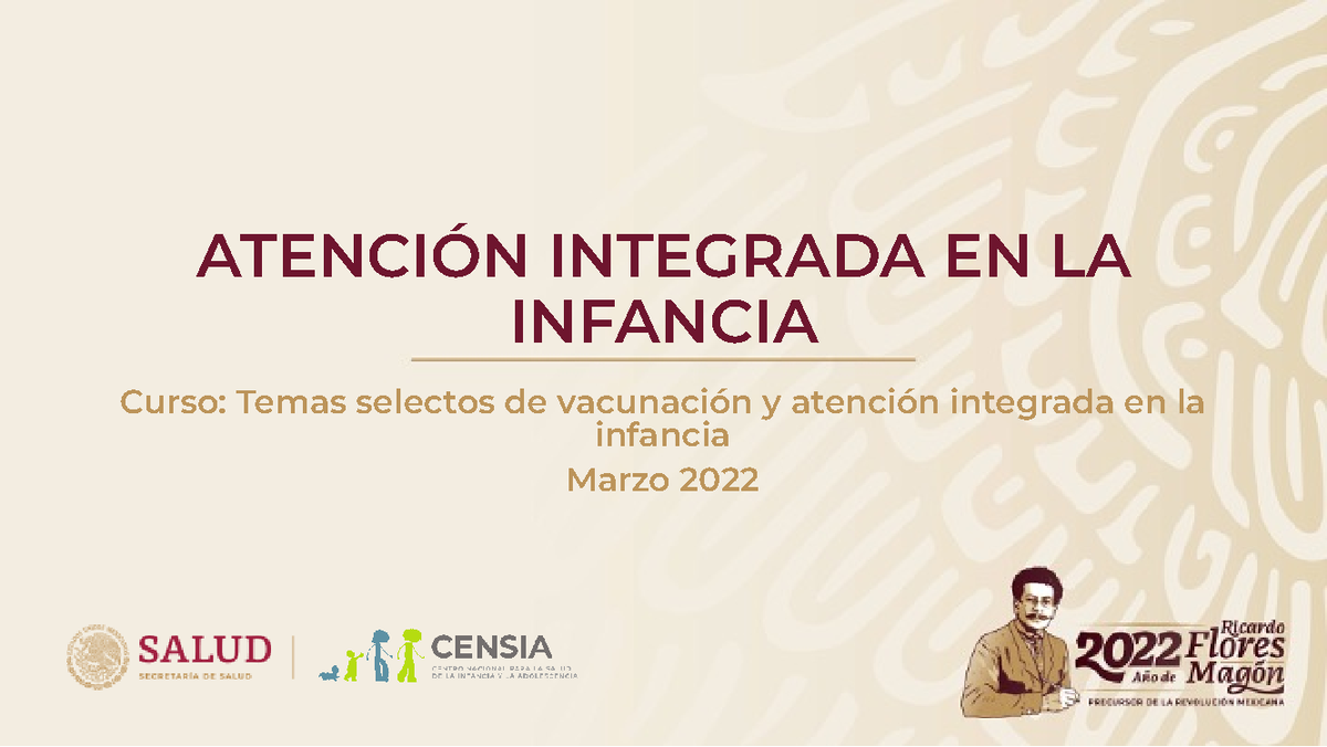 Modelo Atención Integrada - ATENCIÓN INTEGRADA EN LA INFANCIA Curso ...
