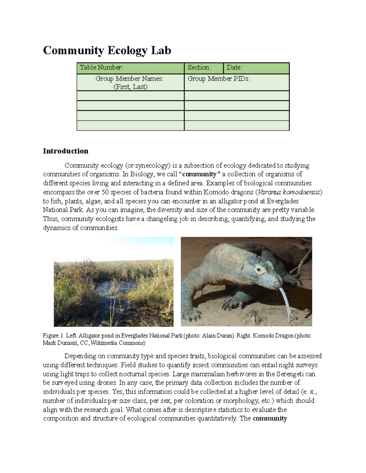 Community Ecology Lab. AD Updated (1) - Community Ecology Lab Table ...