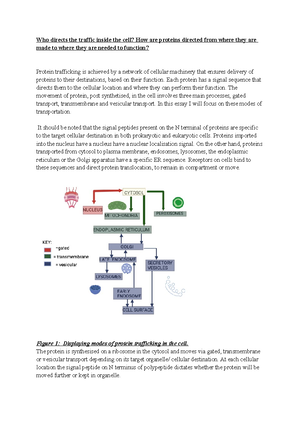 Enzyme Inhibition Lab Worksheet (Part 2) - BCM Enzyme inhibition ...