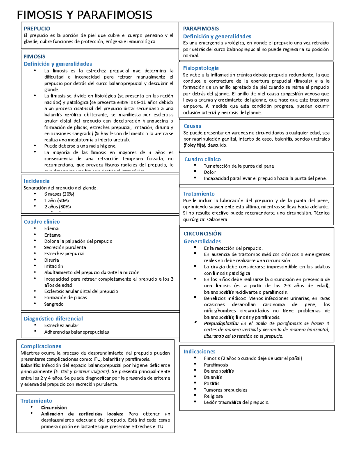 ANATOMÍA DEL SISTEMA REPRODUCTOR MASCULINO - FIMOSIS Y PARAFIMOSIS ...