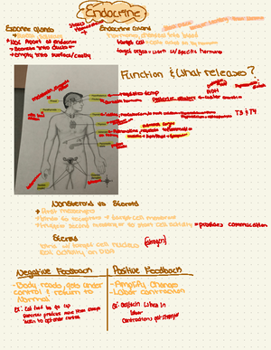 Human Body In Health And Disease Cell Notes - Cell Transport & Disease ...