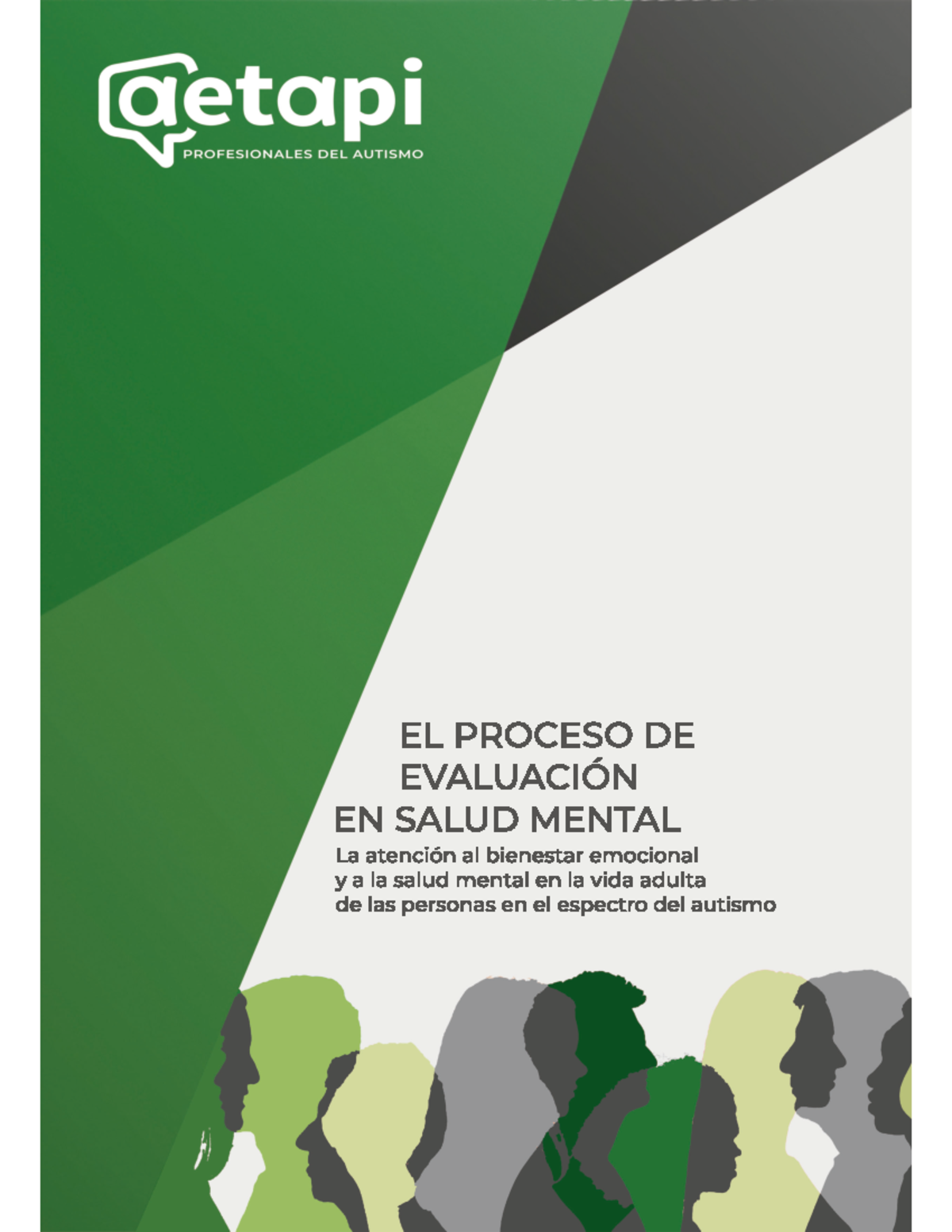 Aetapi- GUIA- Salud- Mental-2022 - EL PROCESO DE EVALUACIÓN EN SALUD ...