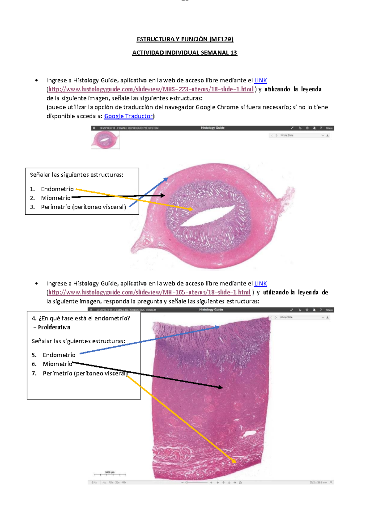 S13-tarea-academica - ..... - Señalar las siguientes estructuras ...