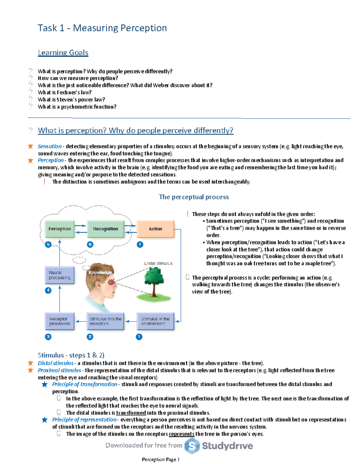 Task 1 - Measuring Perception - What is perception? Why do people ...