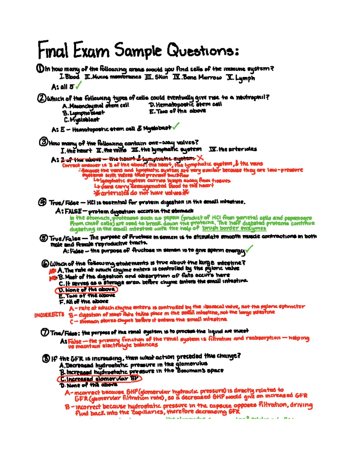 Final Exam Sample Questions - Final Exam Sample Questions - Studocu