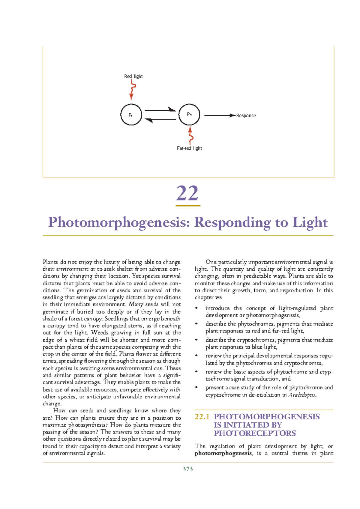 Chapter 22 Photomorphogenesis - Red light Response Far-red light P r Pfr 22 Photomorphogenesis ...