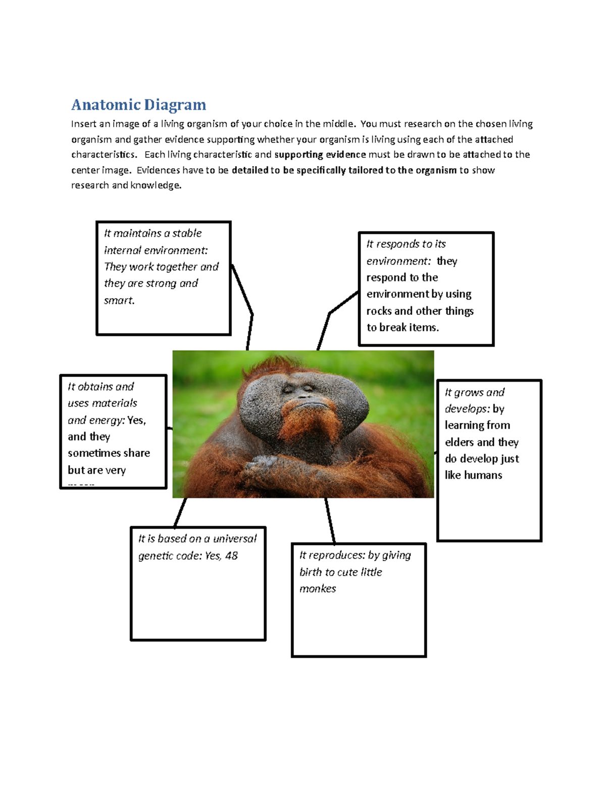 Characteristics Of Life Anatomic Diagram - Anatomic Diagram Insert an ...