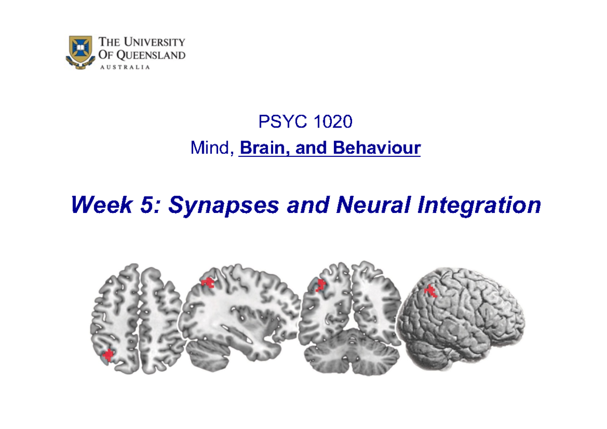 Week6 Neuro Integration - PSYC 1020 Mind, Brain, and Behaviour Week 5 ...